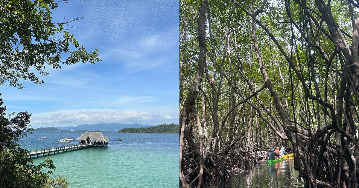 【マレーシア・ガヤ島】自然に触れ、考える旅 #深夜のこっそり話 #1949 - 【SKB】深夜のこっそり話 - ビューティ | SPUR