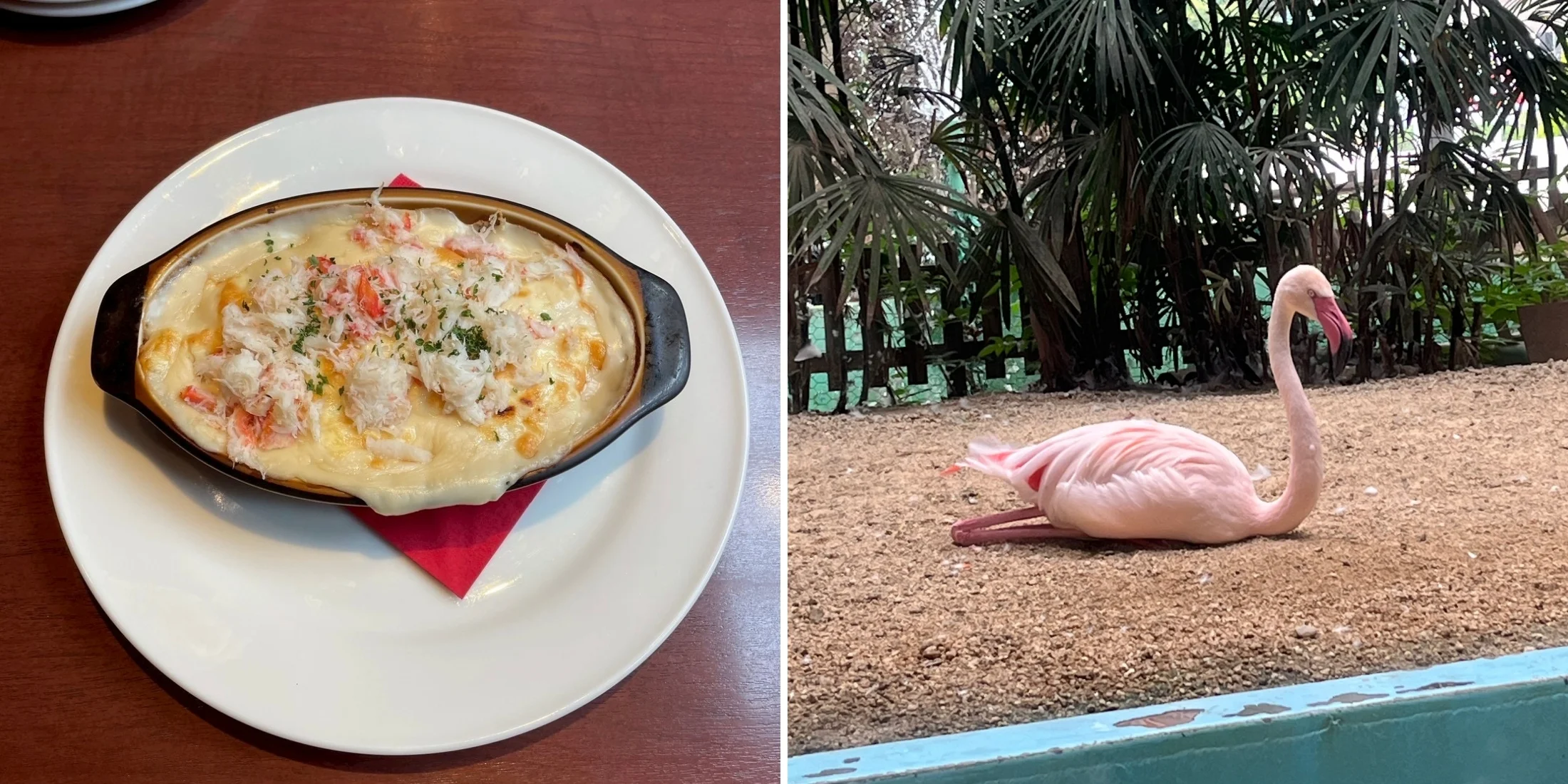 フラミンゴが出迎えてくれるレストラン「メヒコ」で味わう至福のランチ #深夜のこっそり話 #2224 - 【SKB】深夜のこっそり話 - ビューティ | SPUR